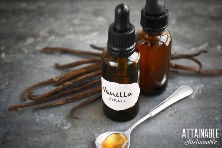 Make Your Own Vanilla with Whole Vanilla Beans For a LOT Less