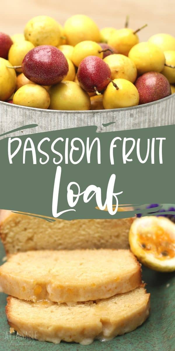 Passion Fruit Cake Recipe for a Taste of the Tropics on your Dessert Table