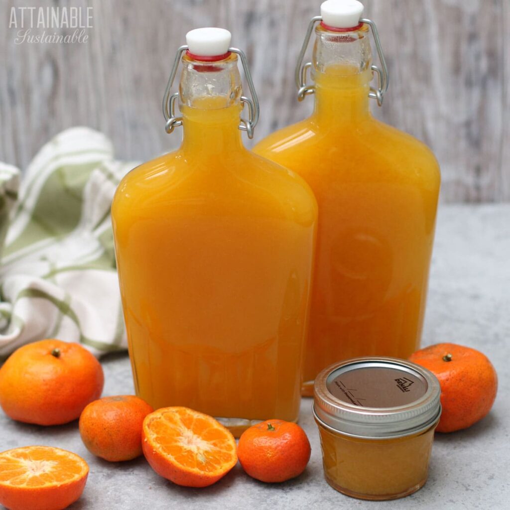 Make this Easy and Delicious Tangerine Syrup!