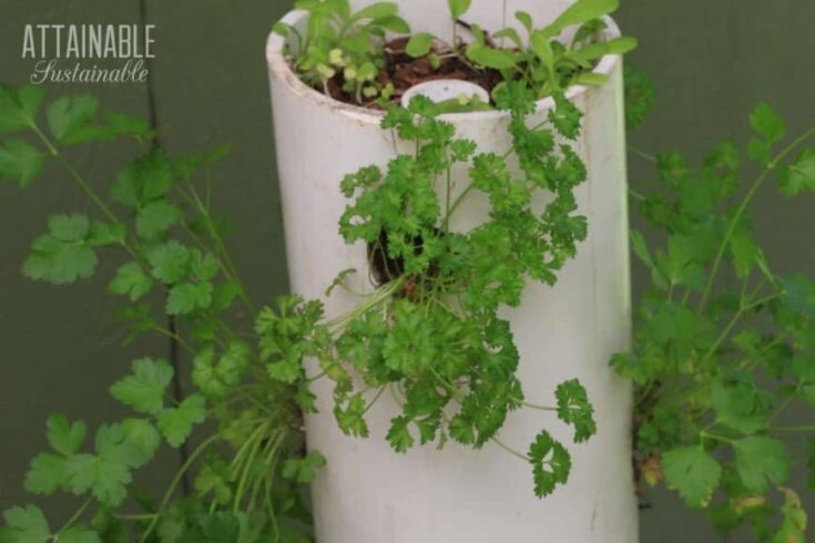 Make This PVC Tower Garden to Grow Lots of Greens in a Small Space