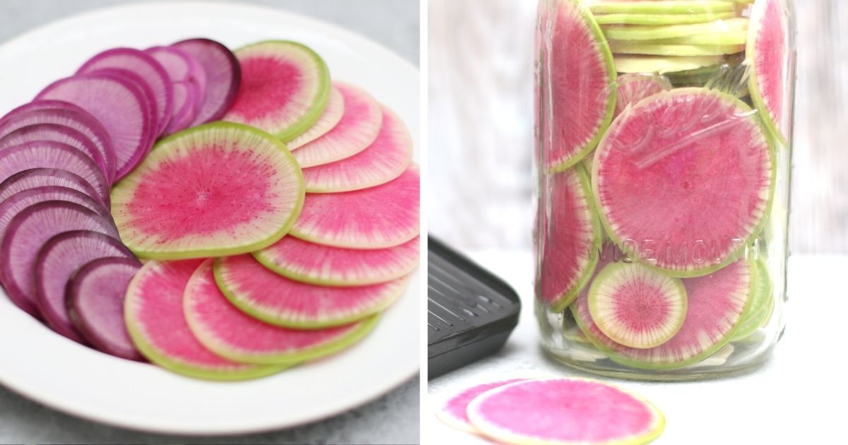 Easy and Delicious Lacto Fermented Radishes - Attainable Sustainable