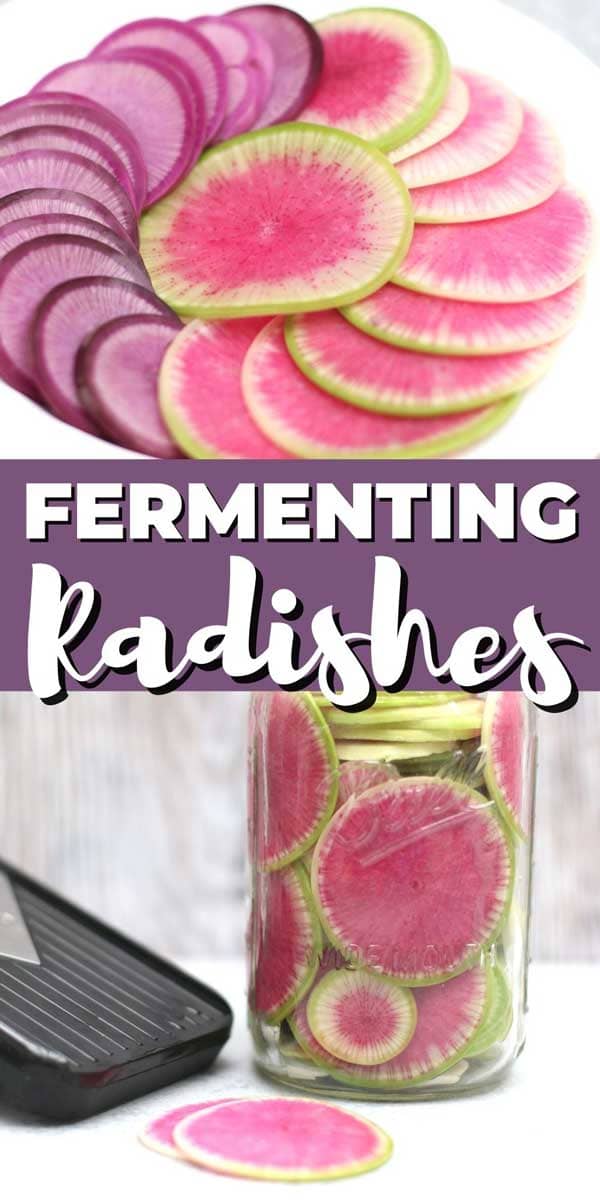 Easy and Delicious Lacto Fermented Radishes - Attainable Sustainable