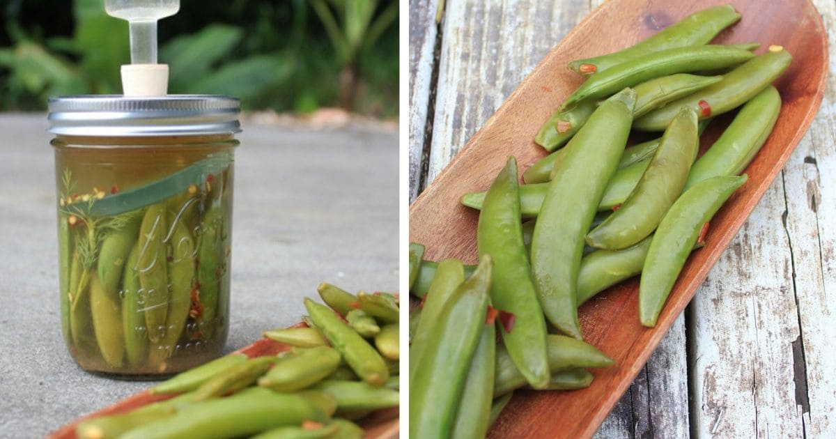 Fermented Sugar Snap Peas for Preservation - Attainable Sustainable®