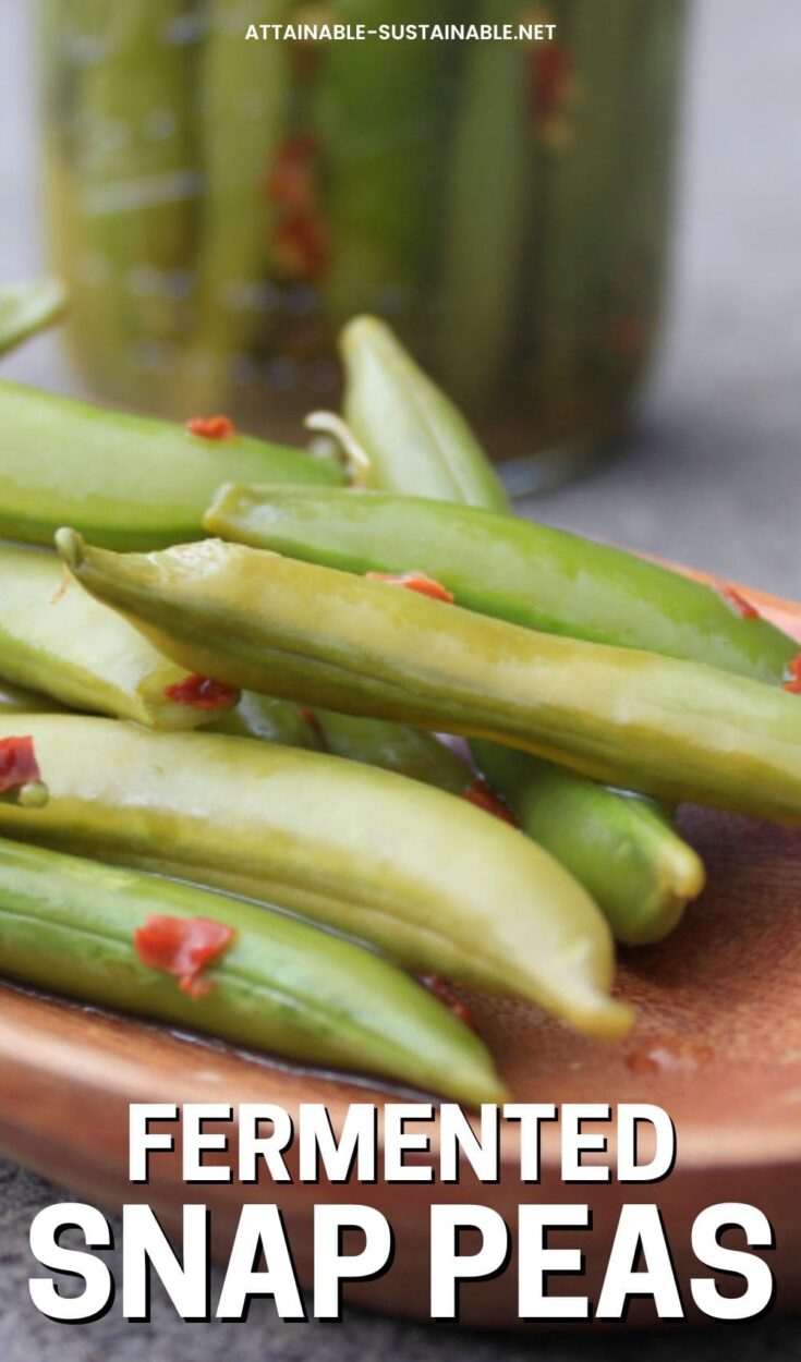 Fermented Sugar Snap Peas for Preservation - Attainable Sustainable®
