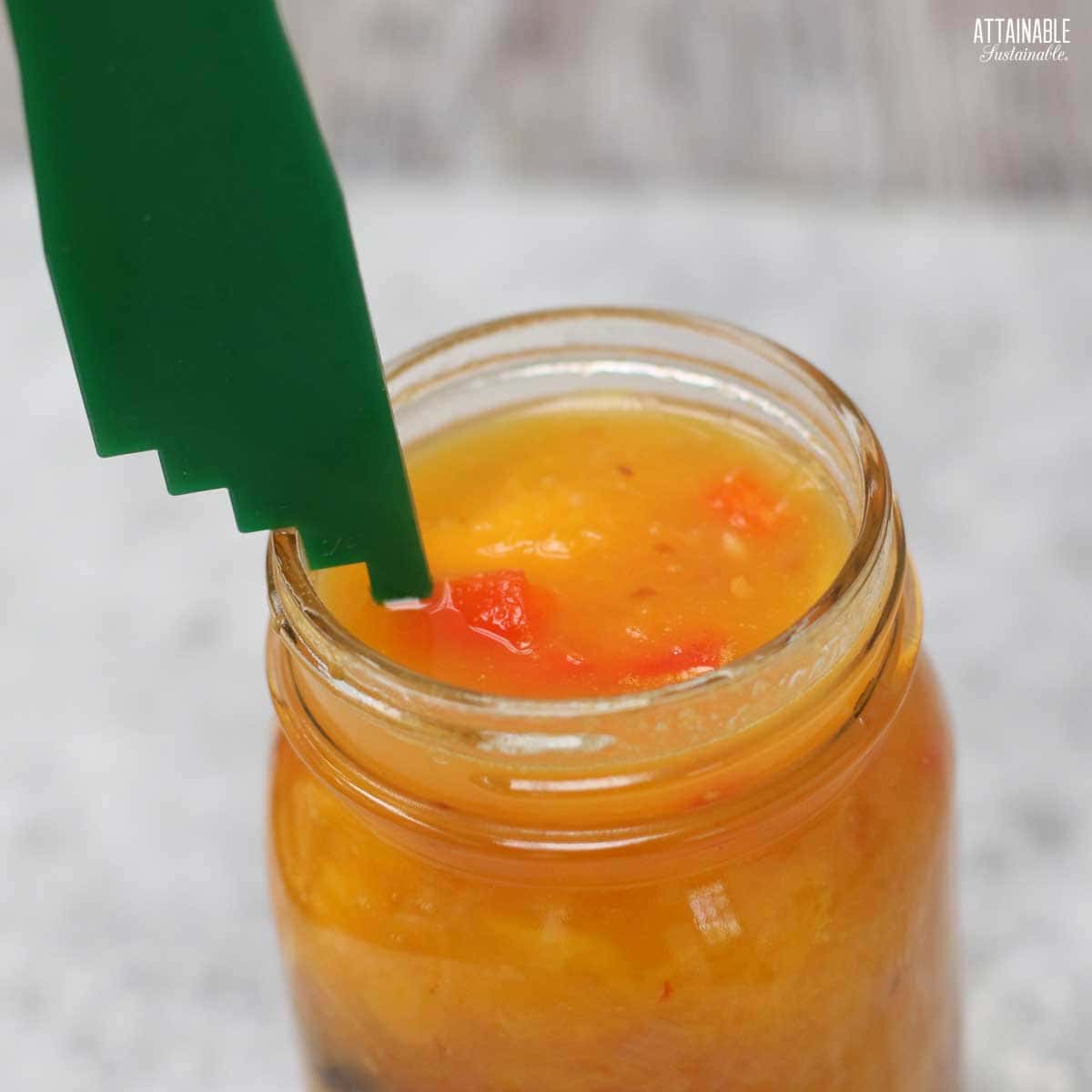 Mango Chutney Recipe: Add Tropical Flavor to Your Next Meal