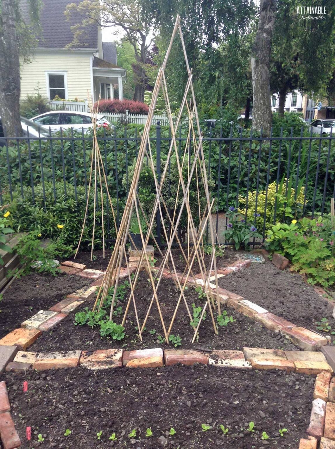 These Easy DIY Trellis Ideas Will Get Your Garden Growing UP!