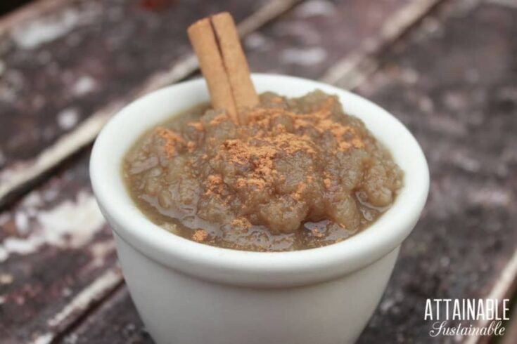 How to Cook Yacon: Mock "Applesauce" Recipe