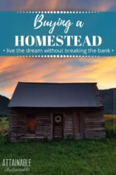 Is Homesteading in Your Future? What Budget Buyers Need to Know