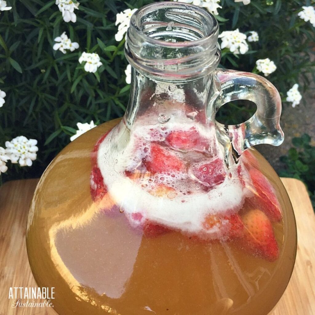 Strawberry Mead Recipe: How to Make Mead - Attainable Sustainable