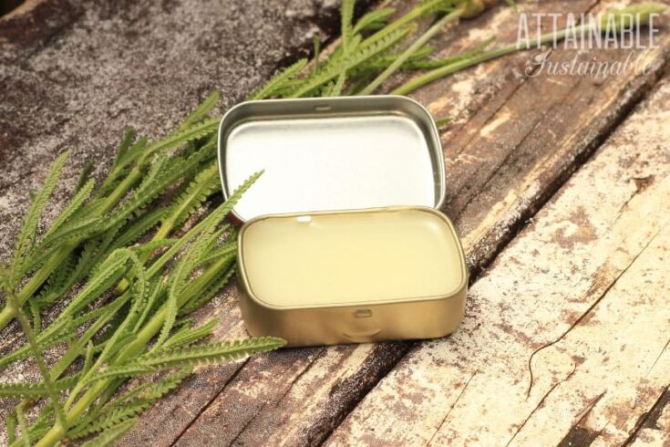 Natural Bug Bite Relief to Soothe the Itchy Skin Blues