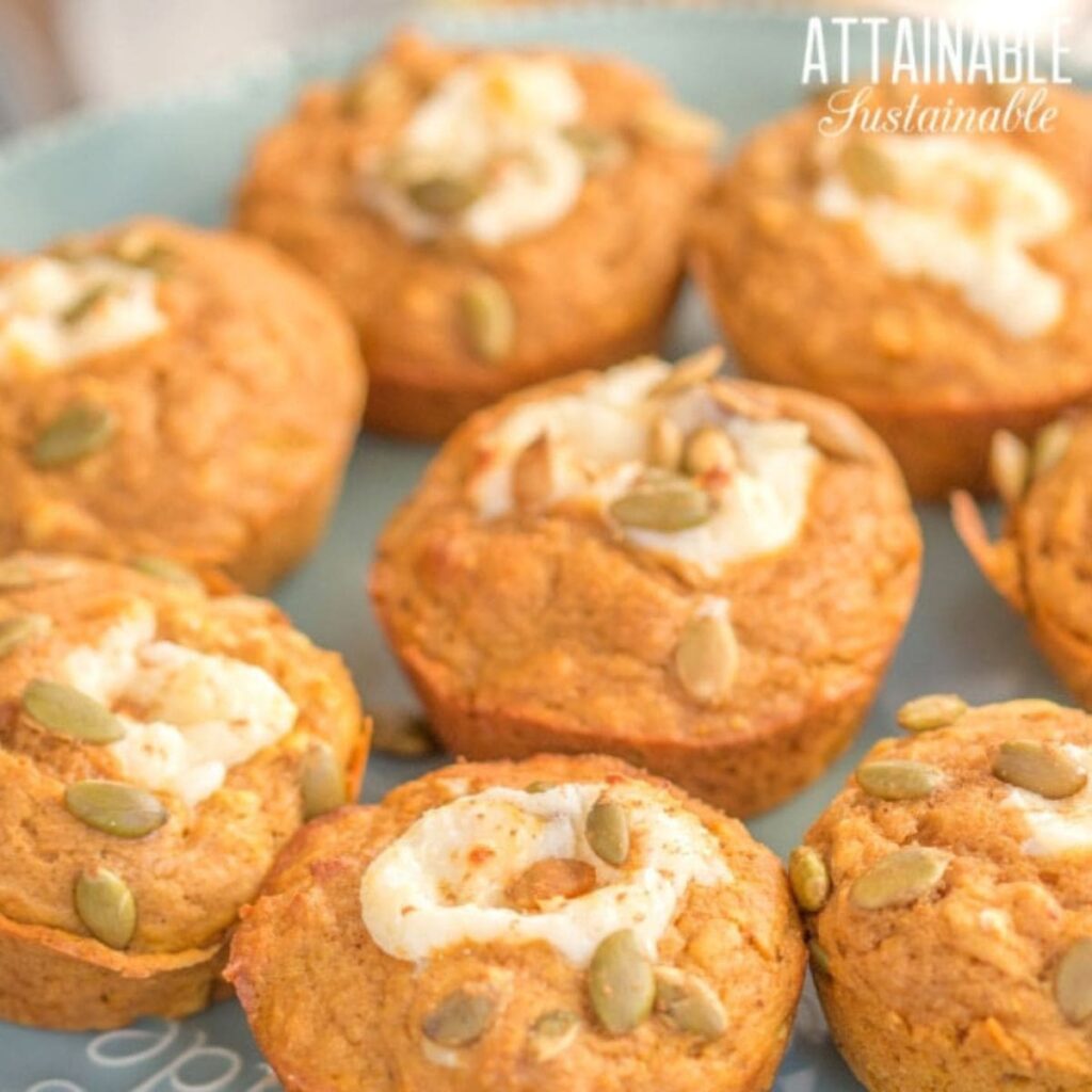 More than Two Dozen Easy Muffin Recipes - Attainable Sustainable®