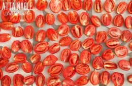 Your Guide to Growing Great Roma Tomatoes