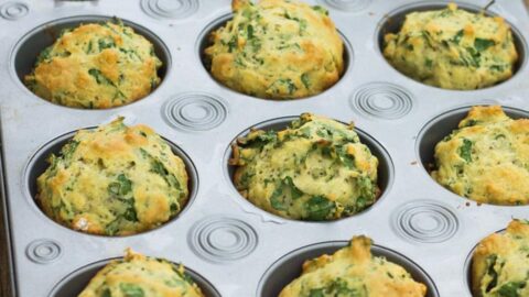 More than Two Dozen Easy Muffin Recipes - Attainable Sustainable®