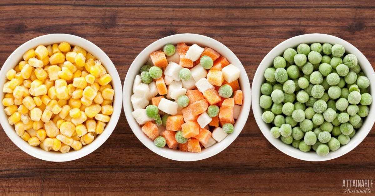 Freeze Food Without Plastic for Less Waste