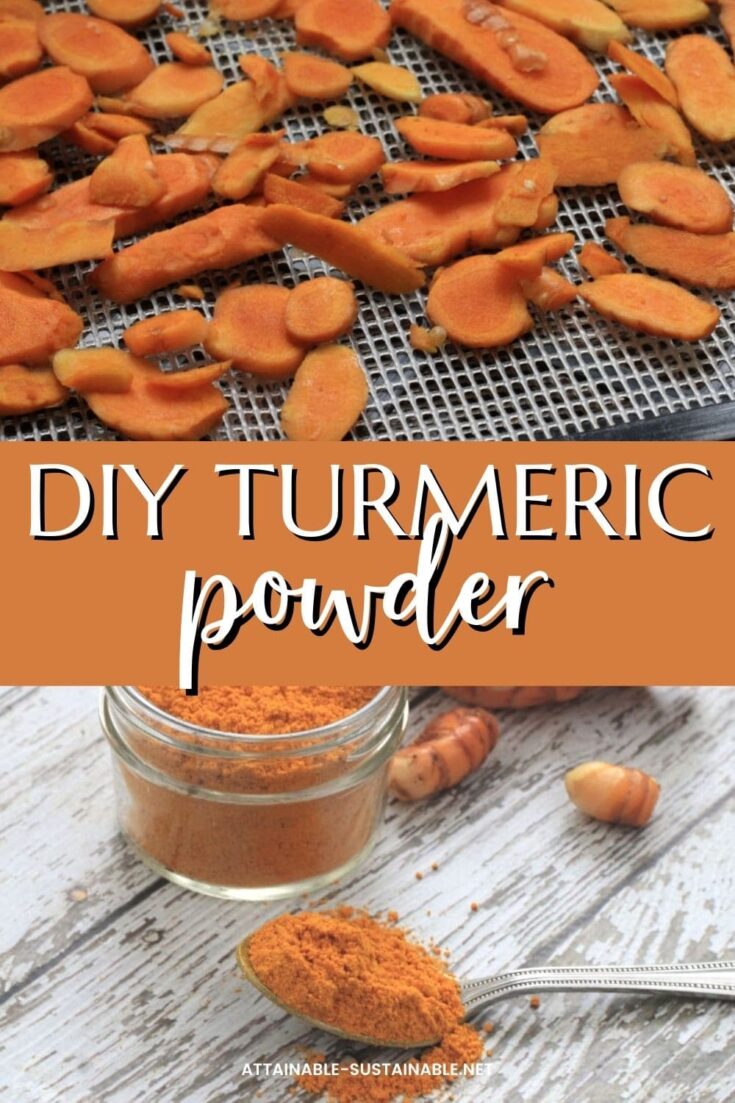 Make Turmeric Powder at Home - Attainable Sustainable®