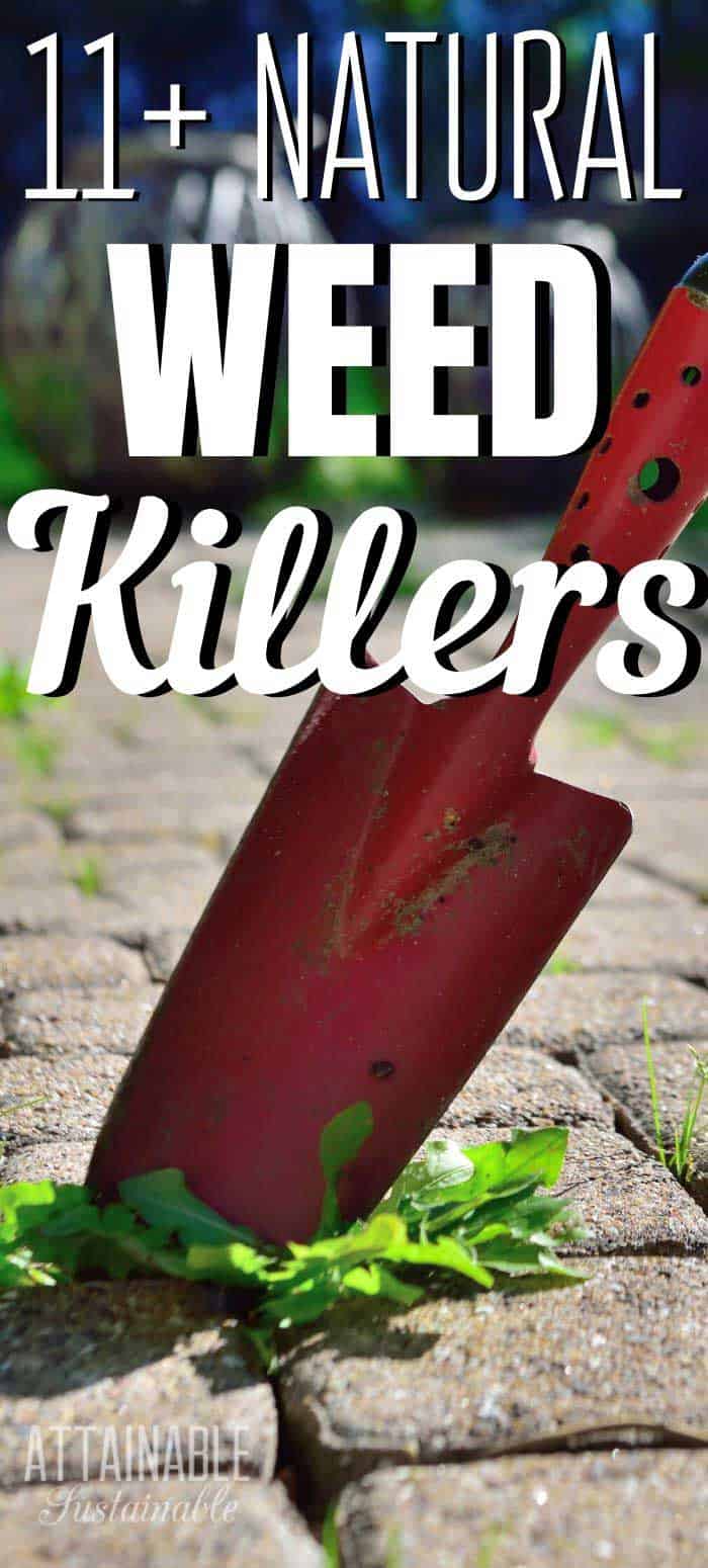 Natural Weed Killers - 11 Ways to Kill Weeds Without Poison