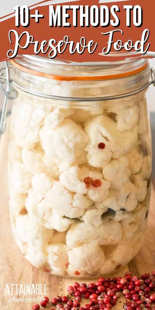 10+ Easy Home Food Preservation Methods - Attainable Sustainable®