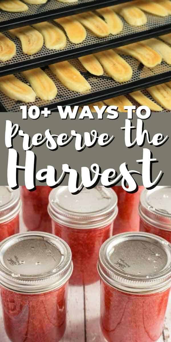 10+ Easy Home Food Preservation Methods - Attainable Sustainable®