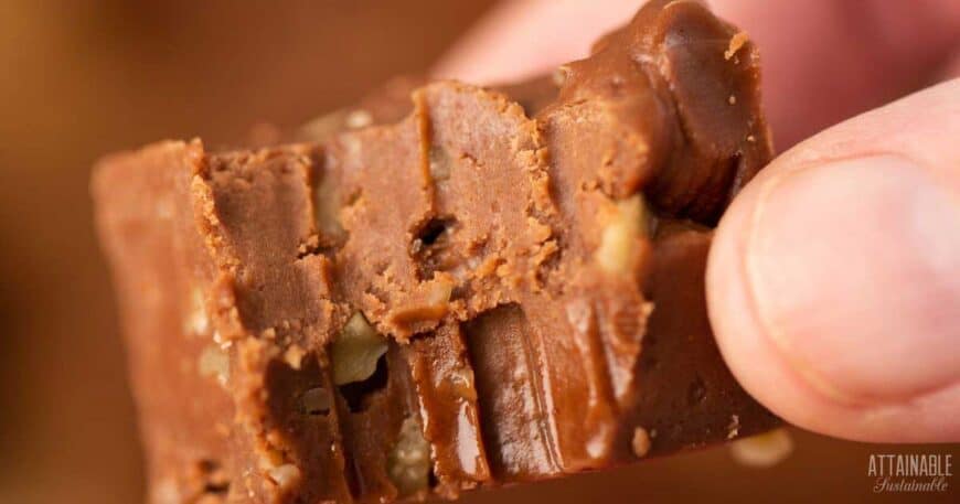 The Best Homemade Fudge Recipe Ever! (Taster Approved!)