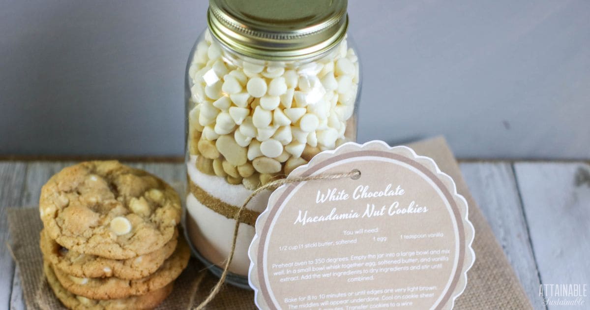 Cookies in a Jar for Easy Gift Giving - Attainable Sustainable®