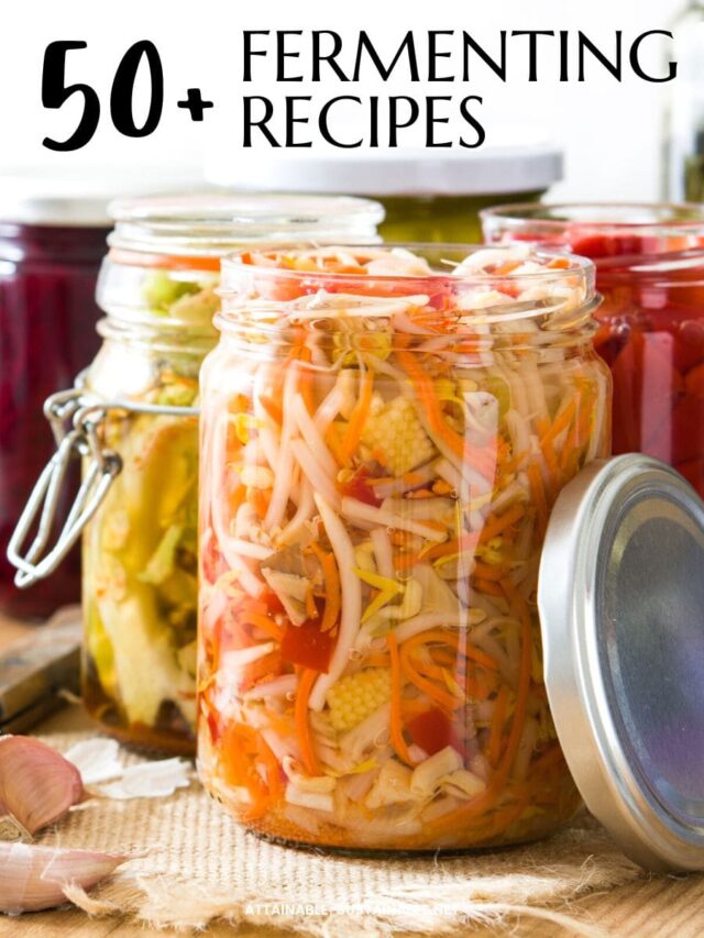 Fermented Foods Recipes: 50+ to Get You Started