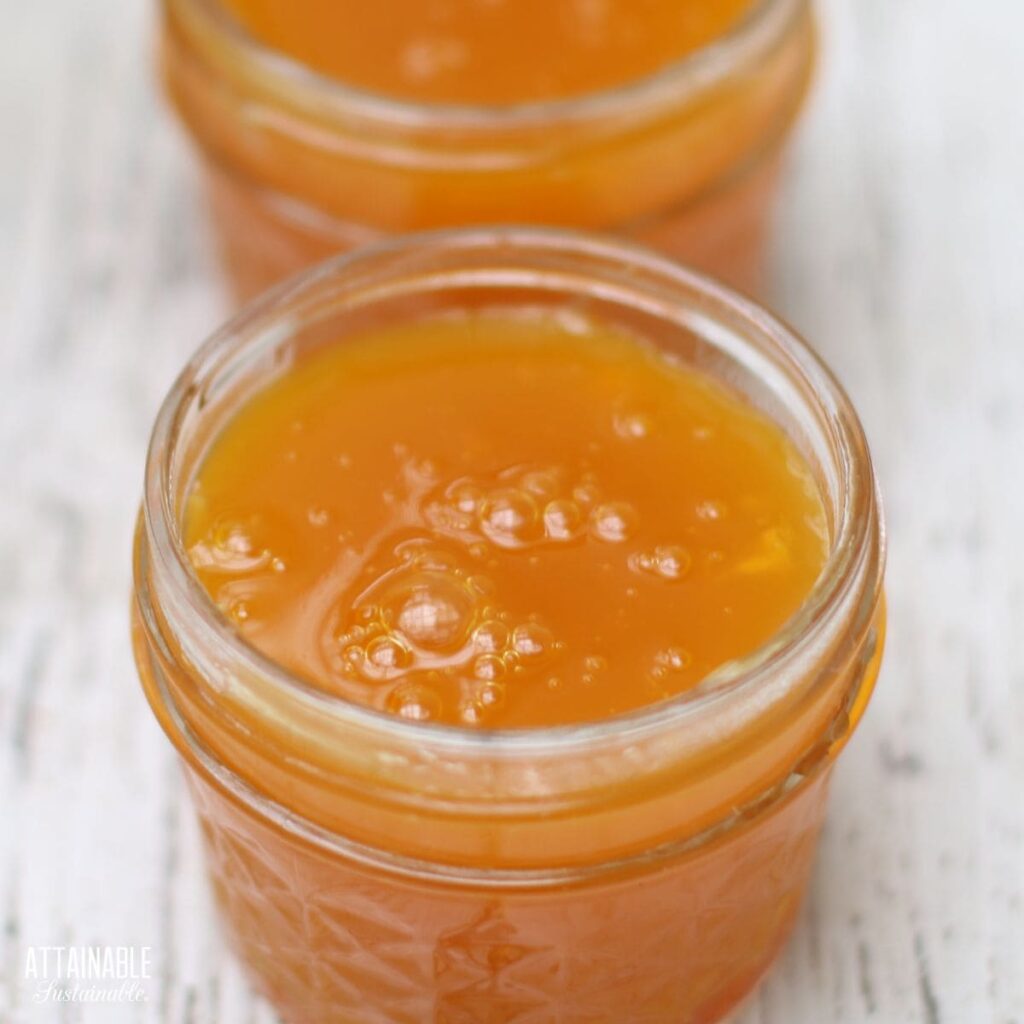 Passion Fruit Jelly: A Delicious Tropical Breakfast Spread