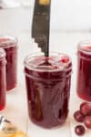 Canning Jam and Jelly: Step by Step Guide to Succes