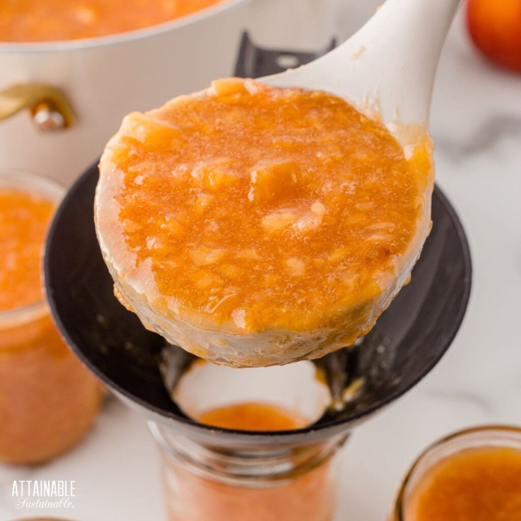 Canning Supplies: Equipment You Need to Get Started