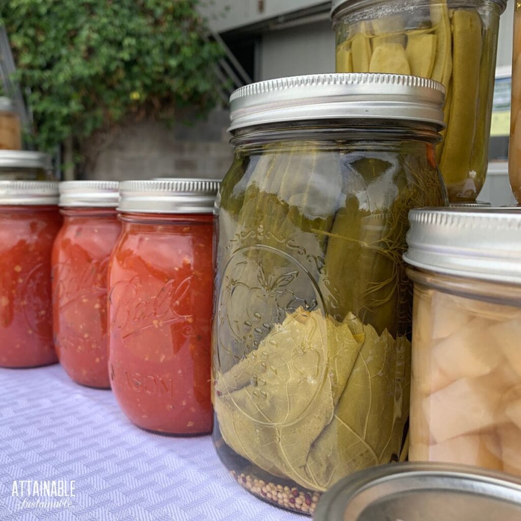 Canning Grapes: Food Preservation Made Easy - Attainable Sustainable®