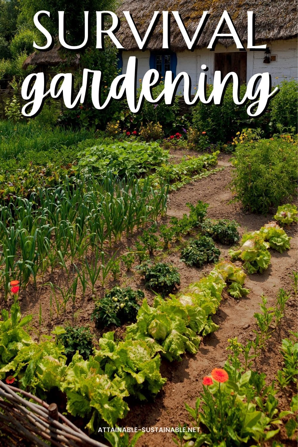 Growing a Survival Garden with Staple Crops - Attainable Sustainable