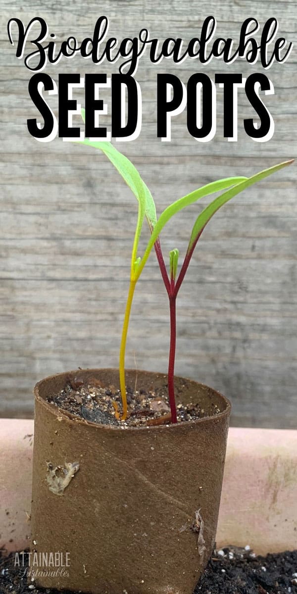 Upcycled DIY Seed Starting Pots - Attainable Sustainable®