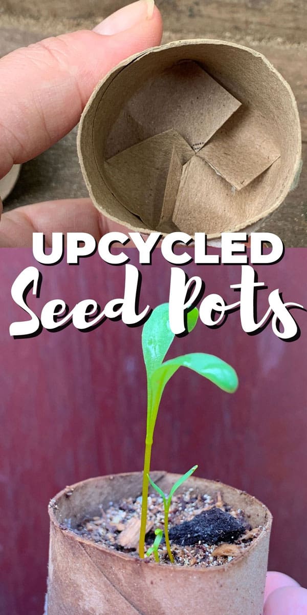 Upcycled DIY Seed Starting Pots - Attainable Sustainable®