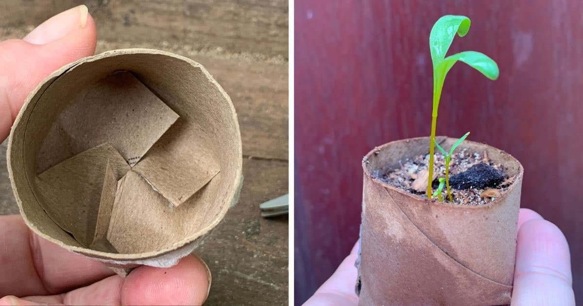 Upcycled DIY Seed Starting Pots - Attainable Sustainable®
