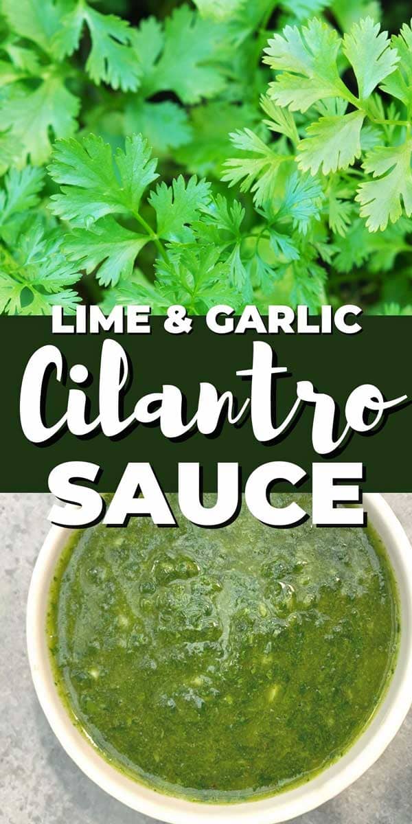 Easy 5-Ingredient Cilantro Sauce with Garlic - Attainable Sustainable
