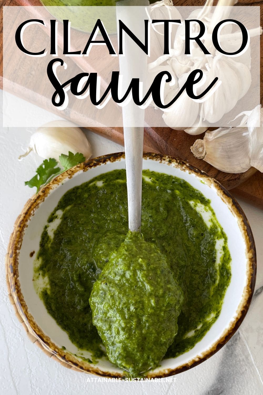 Easy 5-Ingredient Cilantro Sauce with Garlic - Attainable Sustainable