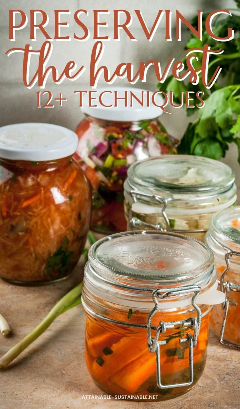 10+ Easy Home Food Preservation Methods - Attainable Sustainable®