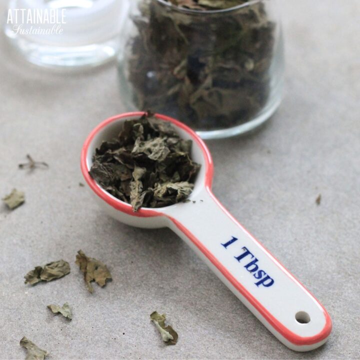 How to Dry Basil for Garden Fresh Flavor All Year Long