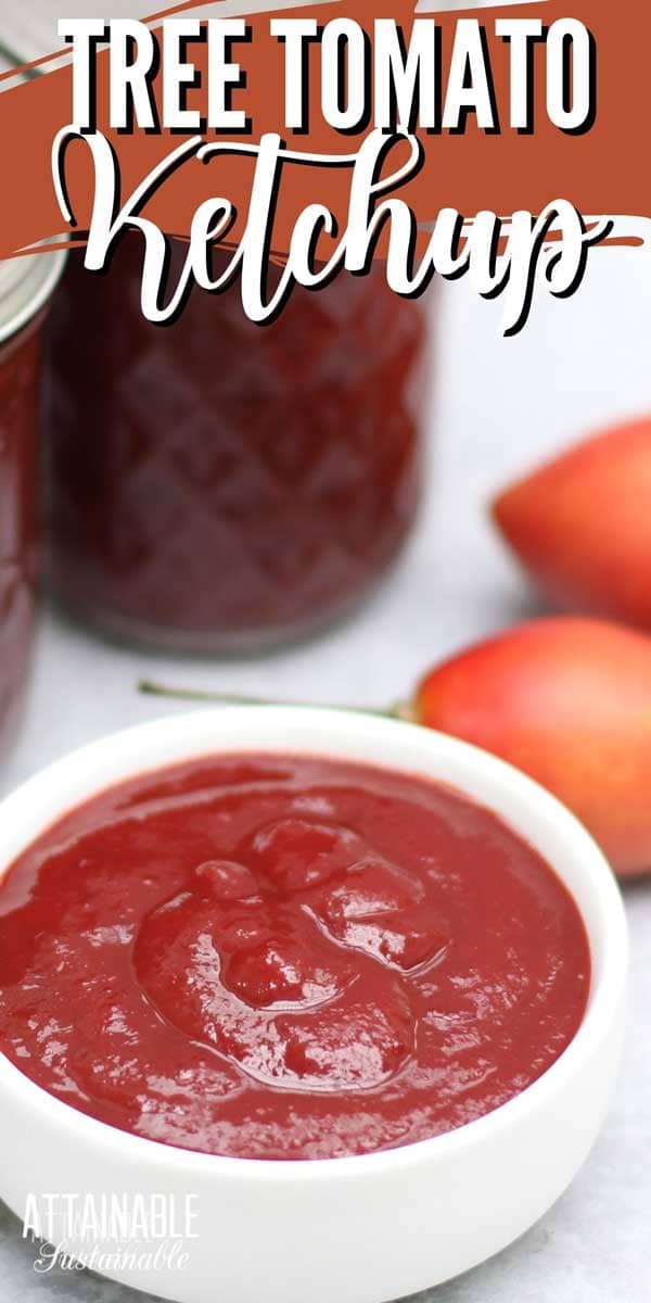 Try this Delicious Ketchup Recipe for Canning the Harvest