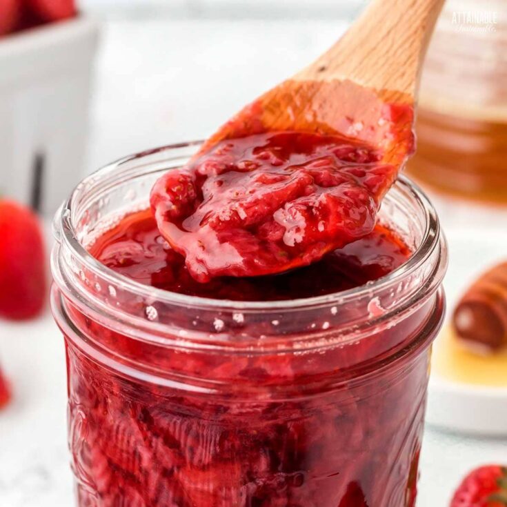 Quick & Easy Strawberry Compote - Attainable Sustainable