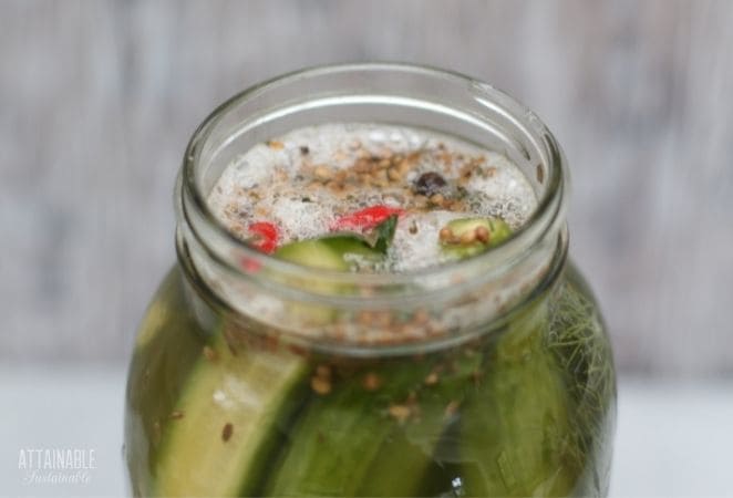 Fermented Deli-Style Garlic Dill Pickle Recipe - Attainable Sustainable®
