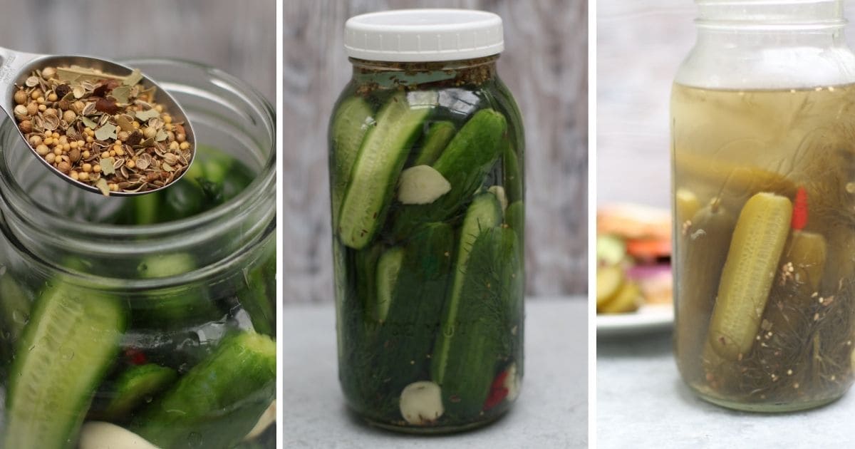 Garlic Dill Pickle Recipe - Fermented Deli-Style Cukes