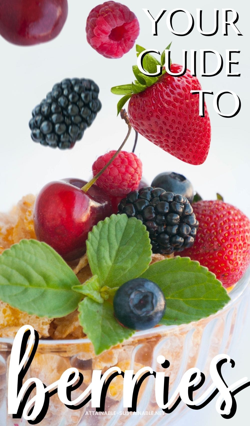 10 Types of Fresh Berries & Favorite Recipes - Attainable Sustainable®