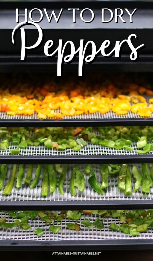 Dehydrated Peppers to Stock the Pantry - Attainable Sustainable®