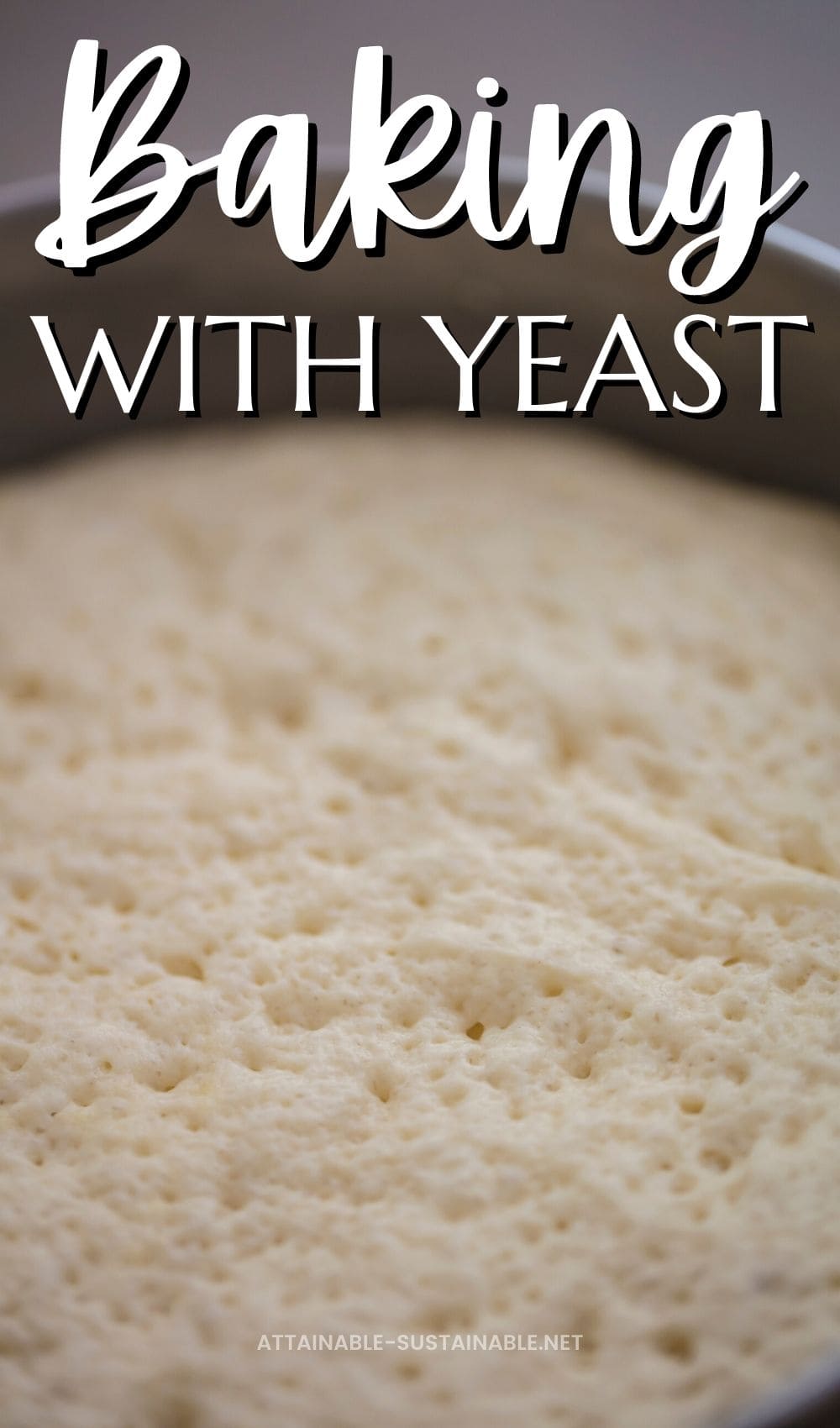 Yeast 101 - Different Types of Yeast and How to Use It