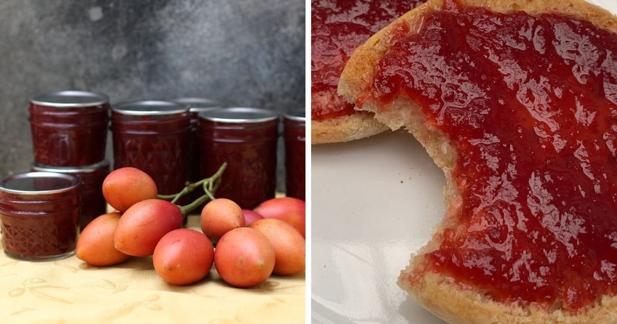 Seedless Tamarillo Jam for Sweet Flavor - Attainable Sustainable®
