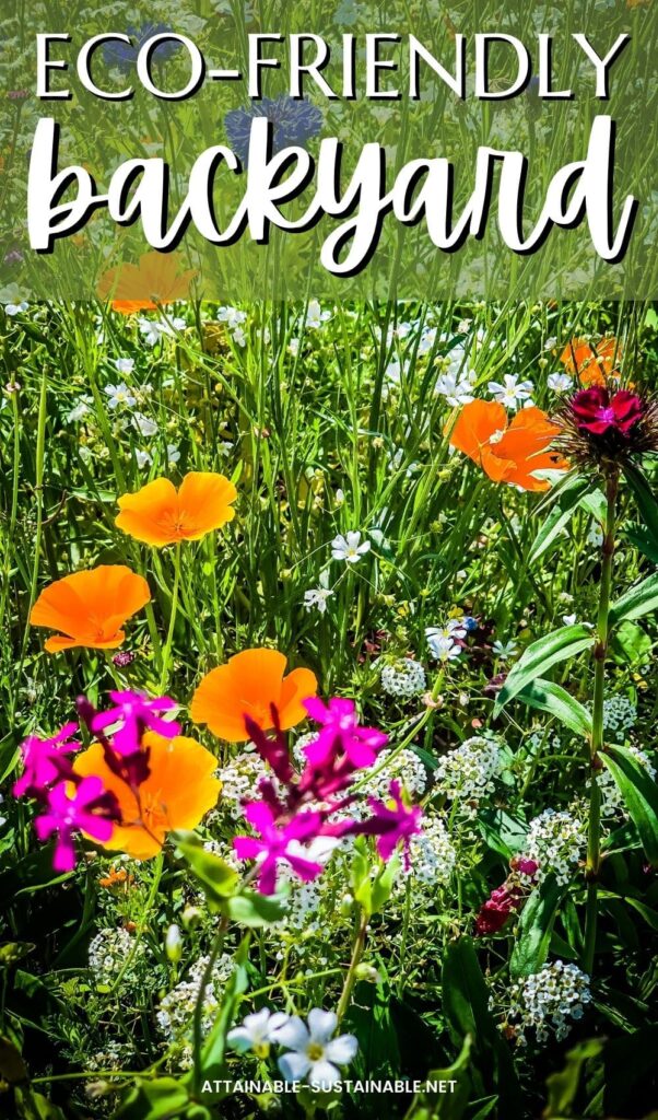 4 Easy Steps to Eco-Friendly Landscaping - Attainable Sustainable®