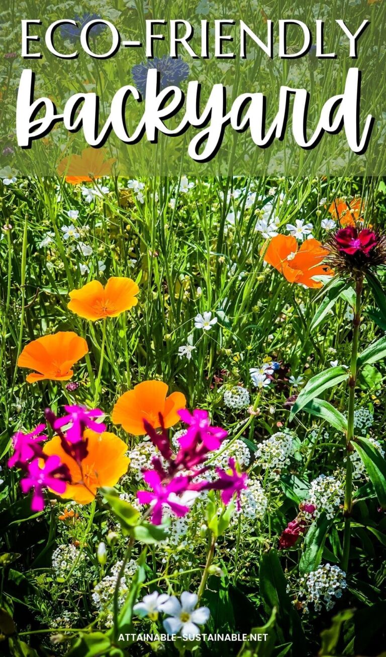 4 Easy Steps to Eco-Friendly Landscaping - Attainable Sustainable®