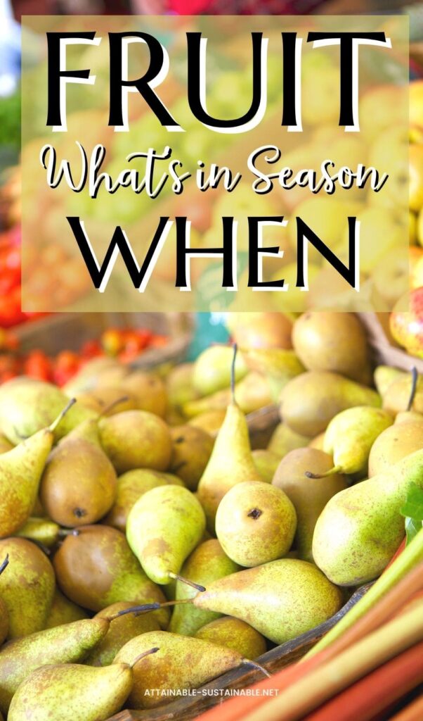 Seasonal Fruits: What's in Season When - Attainable Sustainable®
