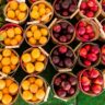Seasonal Fruits: What's in Season When - Attainable Sustainable®