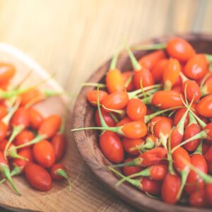 Growing Goji Berries for Good Health - Attainable Sustainable®